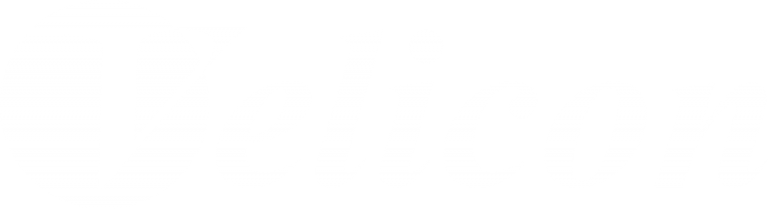 Velicon – High-Performance Electric Motors and Generators